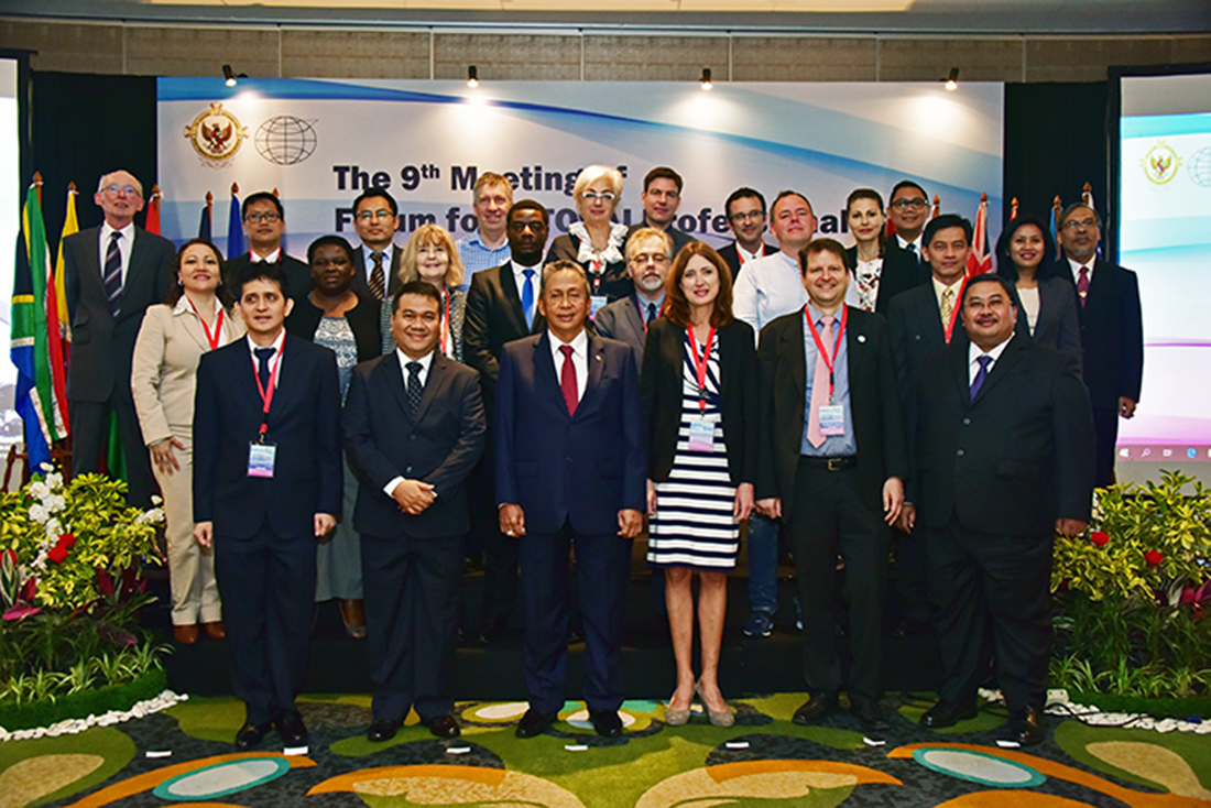 The FIPP: Who We Are, What We Do - INTOSAI Journal