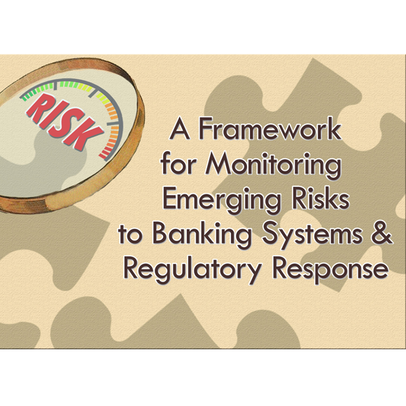Emerging Risk Framework for Banking Systems, Regulatory Response ...