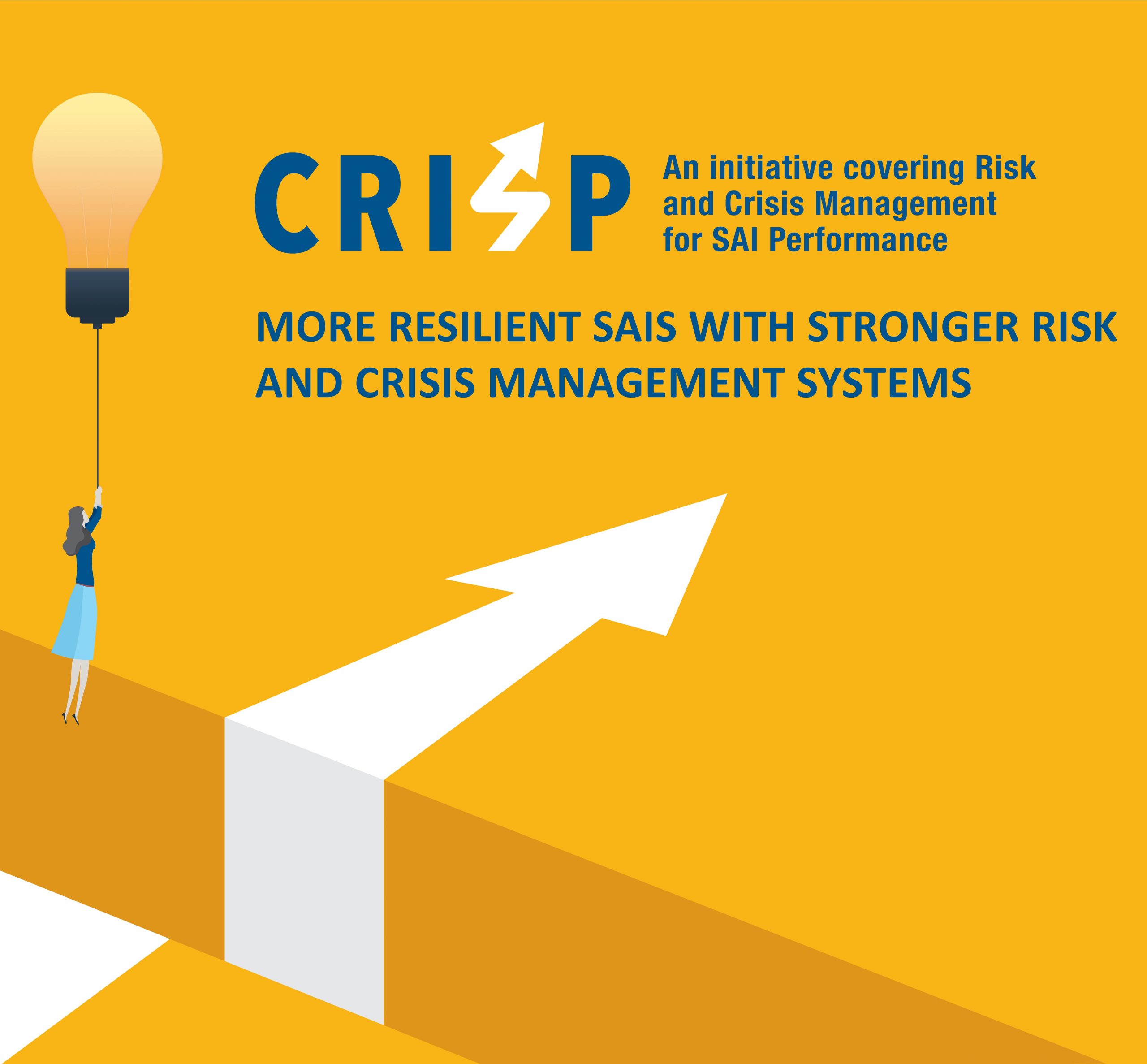 IDI Launches Initiative to Help SAIs Strengthen Crisis and Risk ...