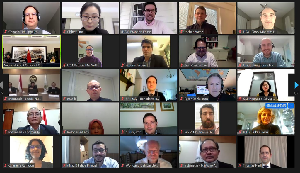 INTOSAI WGFMRR Shares Knowledge During Pandemic - INTOSAI Journal