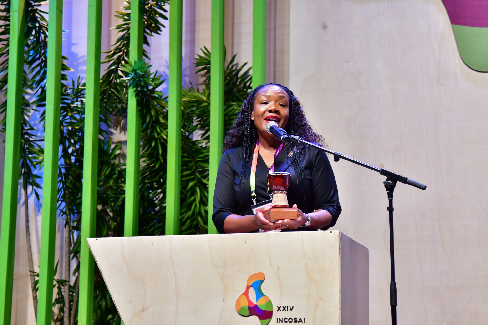 The INTOSAI Development Initiative Wins the First Kimi Makwetu Award ...