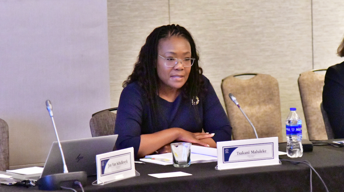 Successful 20th PFAC Meeting Held in Washington - INTOSAI Journal