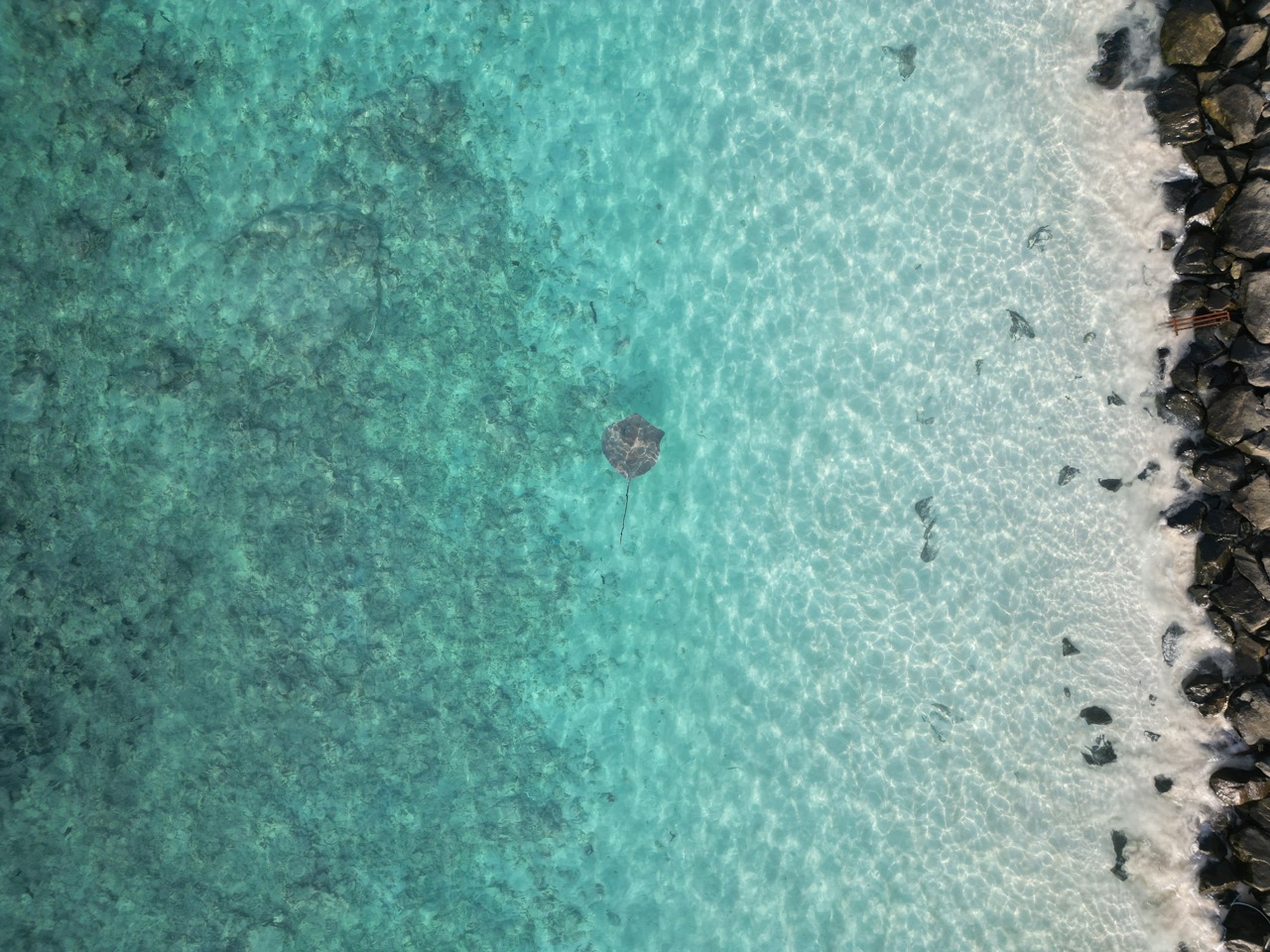 Small Island Developing States and Climate Challenges: Perspectives ...