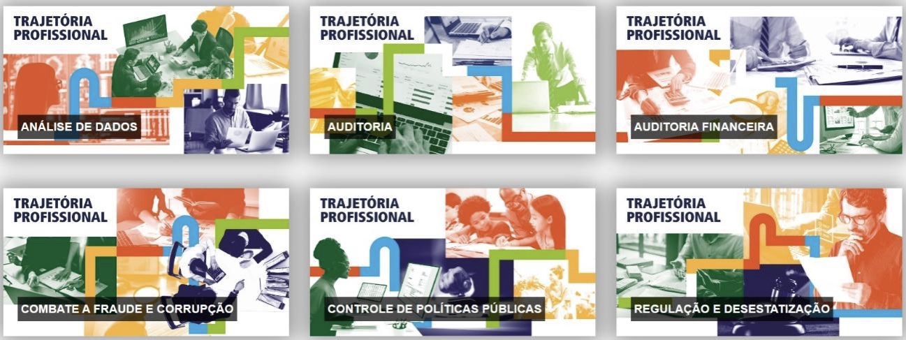 The Professional Trajectory of the Judicial Function: A Case Study from ...