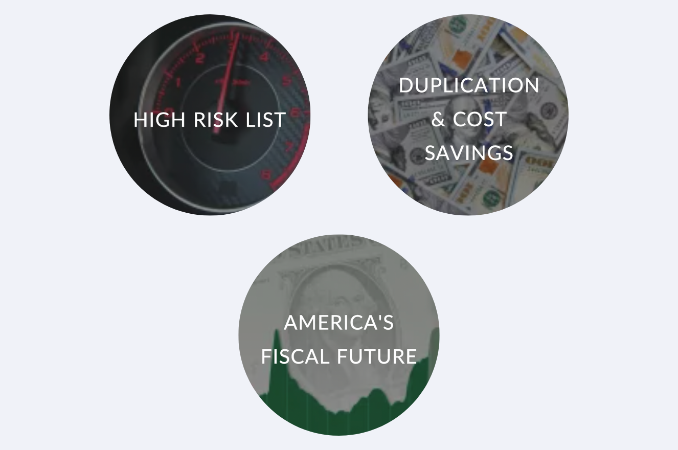 Implementing GAO Recommendations and Audit Follow-up - INTOSAI Journal